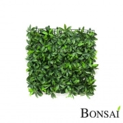 Zelene stene - green wall - vertikalni vrt - Bonsai IC Trzin